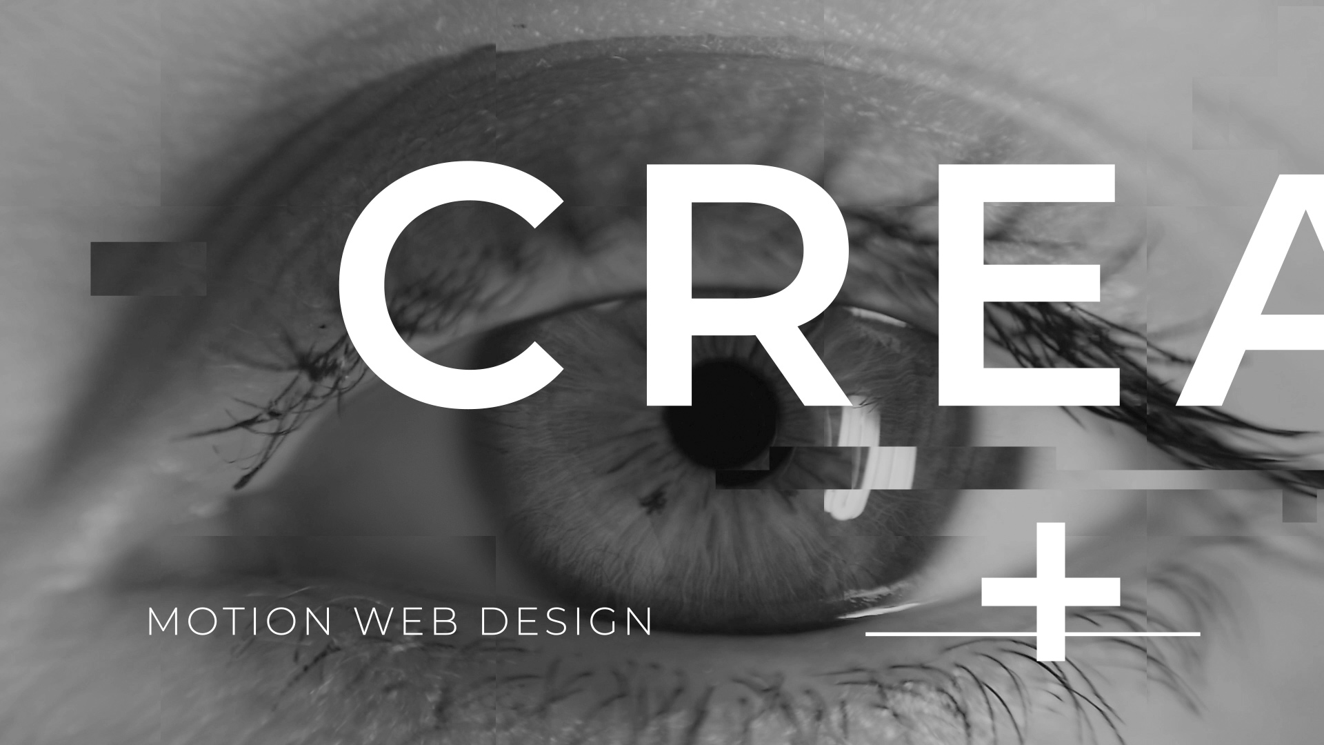 Graphiste Motion Web Designer | philippe allioux